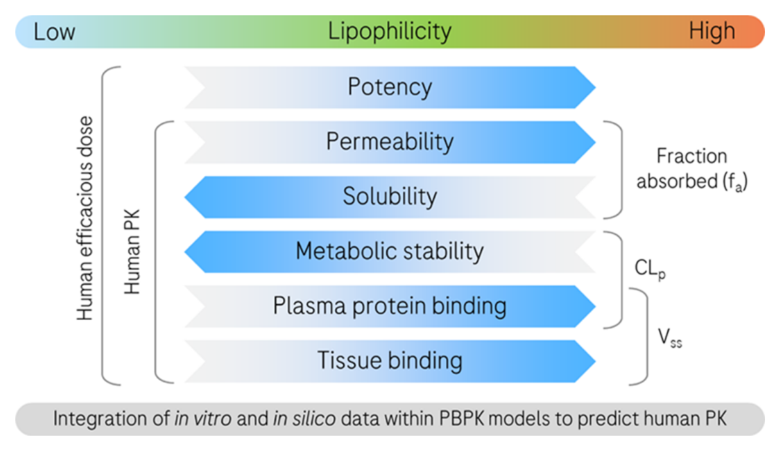 建模文章解读 | 将预测或实测数据整合到PBPK模型中，能否准确预测高脂溶化合物的临床PK？-技术文章-上海凡默谷信息技术有限公司-上海凡默谷 ...